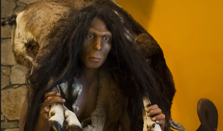 Inilah daftar Manusia Purba yang Ada di Indonesia - Pustaka Sekolah