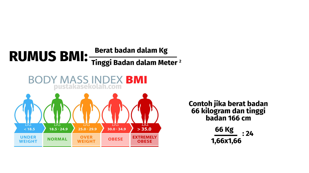 Tips Untuk Mencapai Tinggi Badan Ideal Bagi Remaja - Pustaka Sekolah