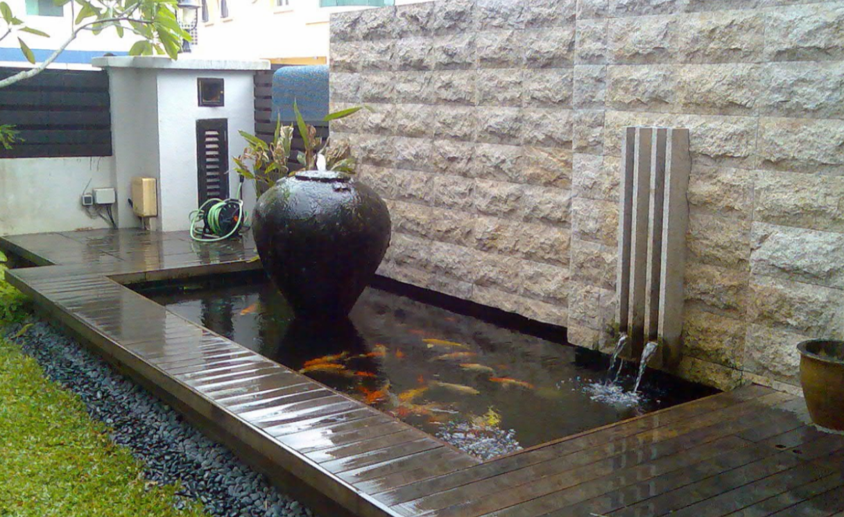 Inilah Keuntungan dan Hal yang Perlu Dipersiapkan Saat Bangun Kolam Ikan di Rumah - Pustaka Sekolah